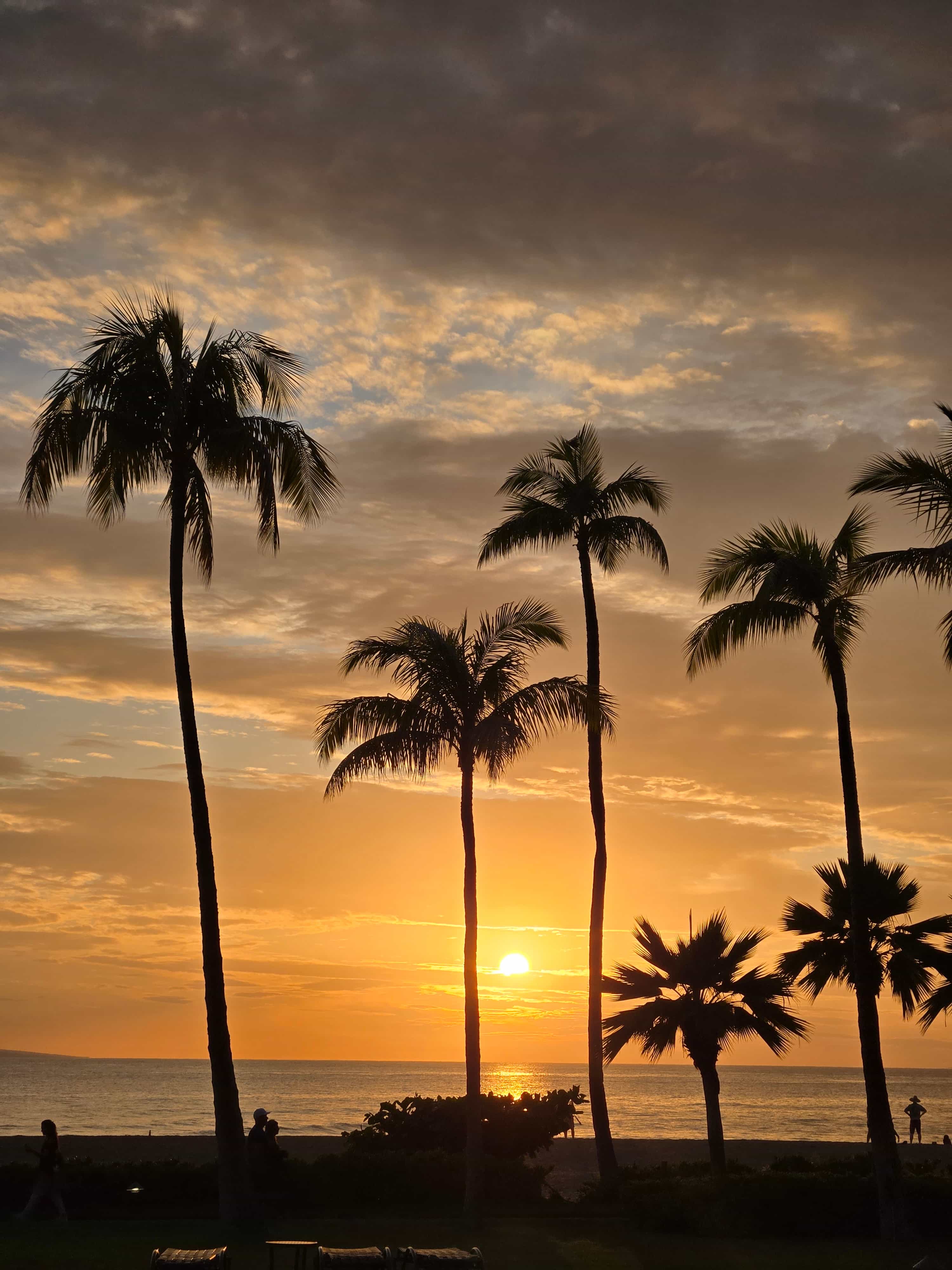 Kelly Stringer | Fora Travel