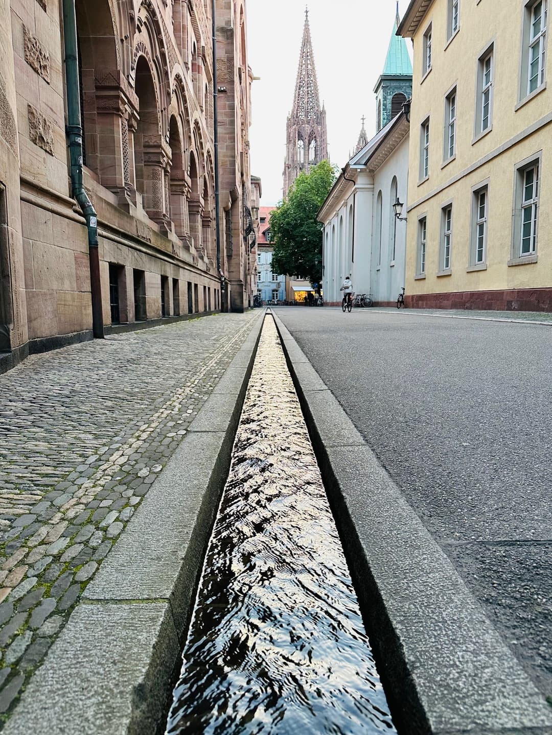 Jane Henzerling | Fora Travel
