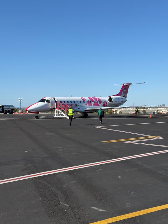 Randee Sewing | Fora Travel