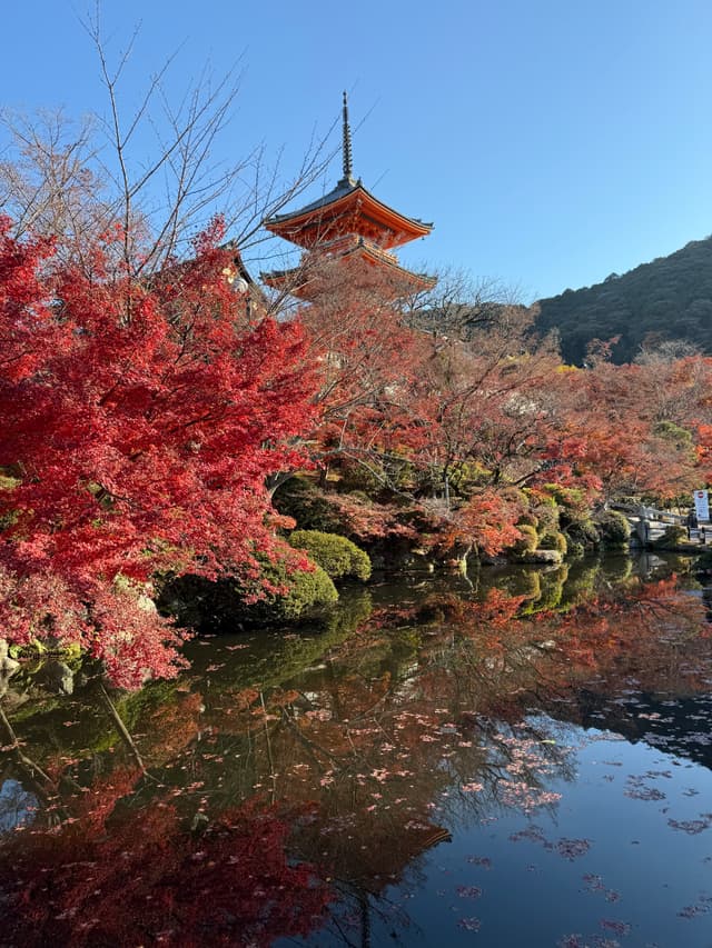 Emily Beckham | Fora Travel