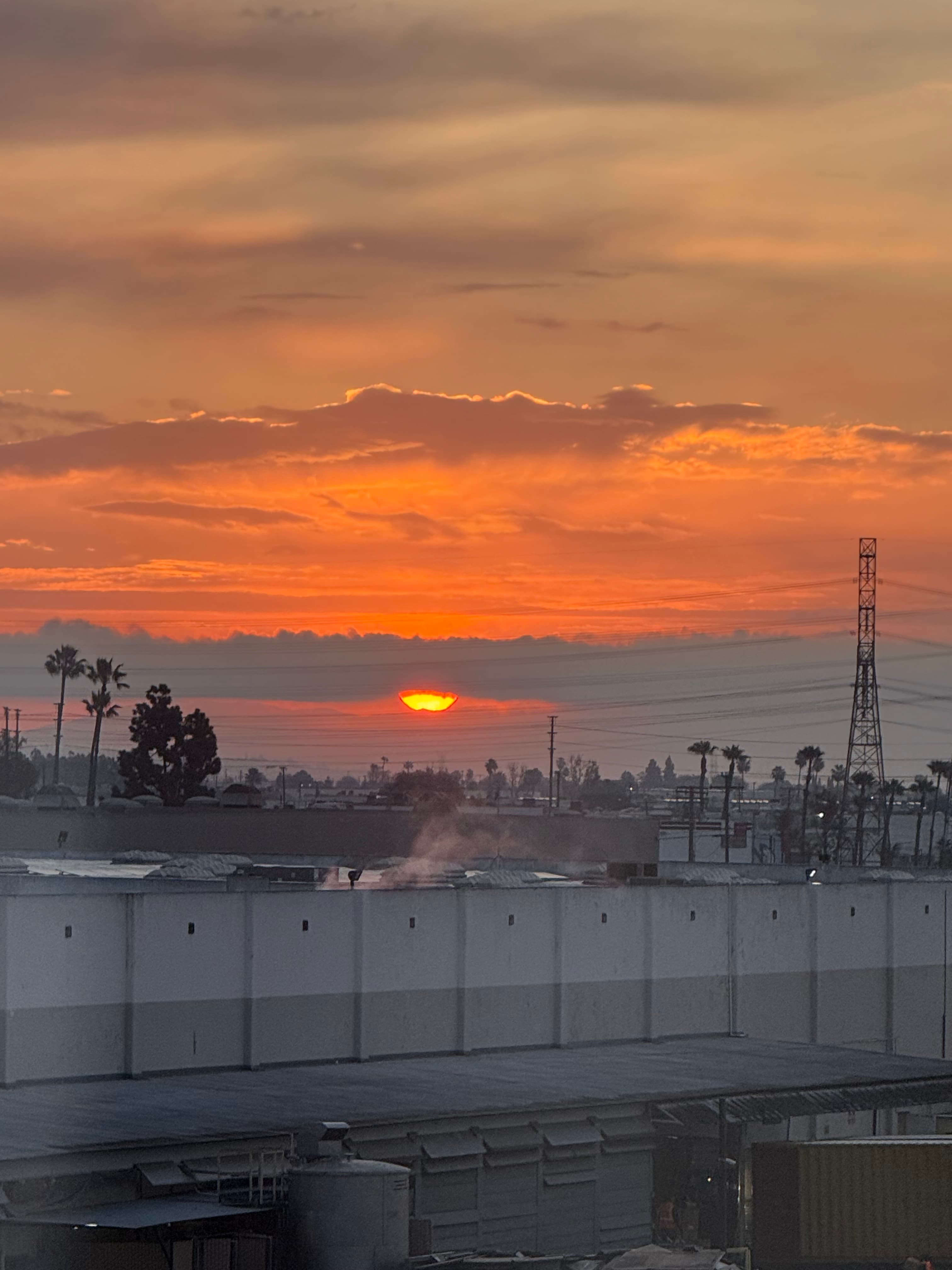 Jessica Robinson | Fora Travel