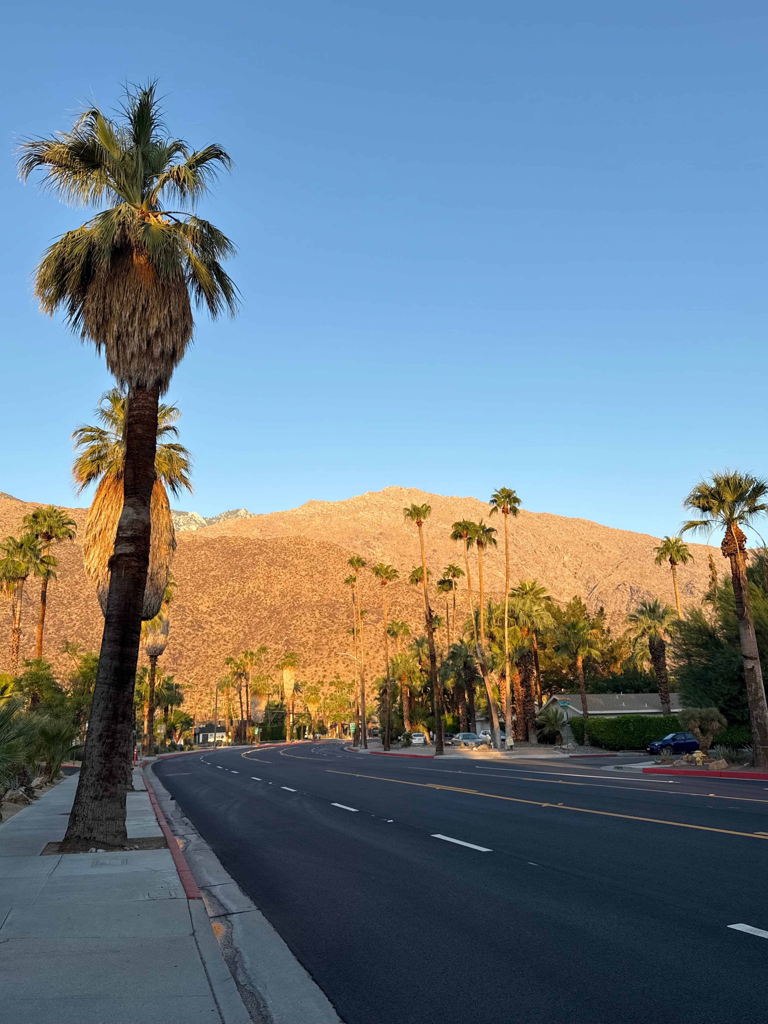 Jessica Robinson | Fora Travel