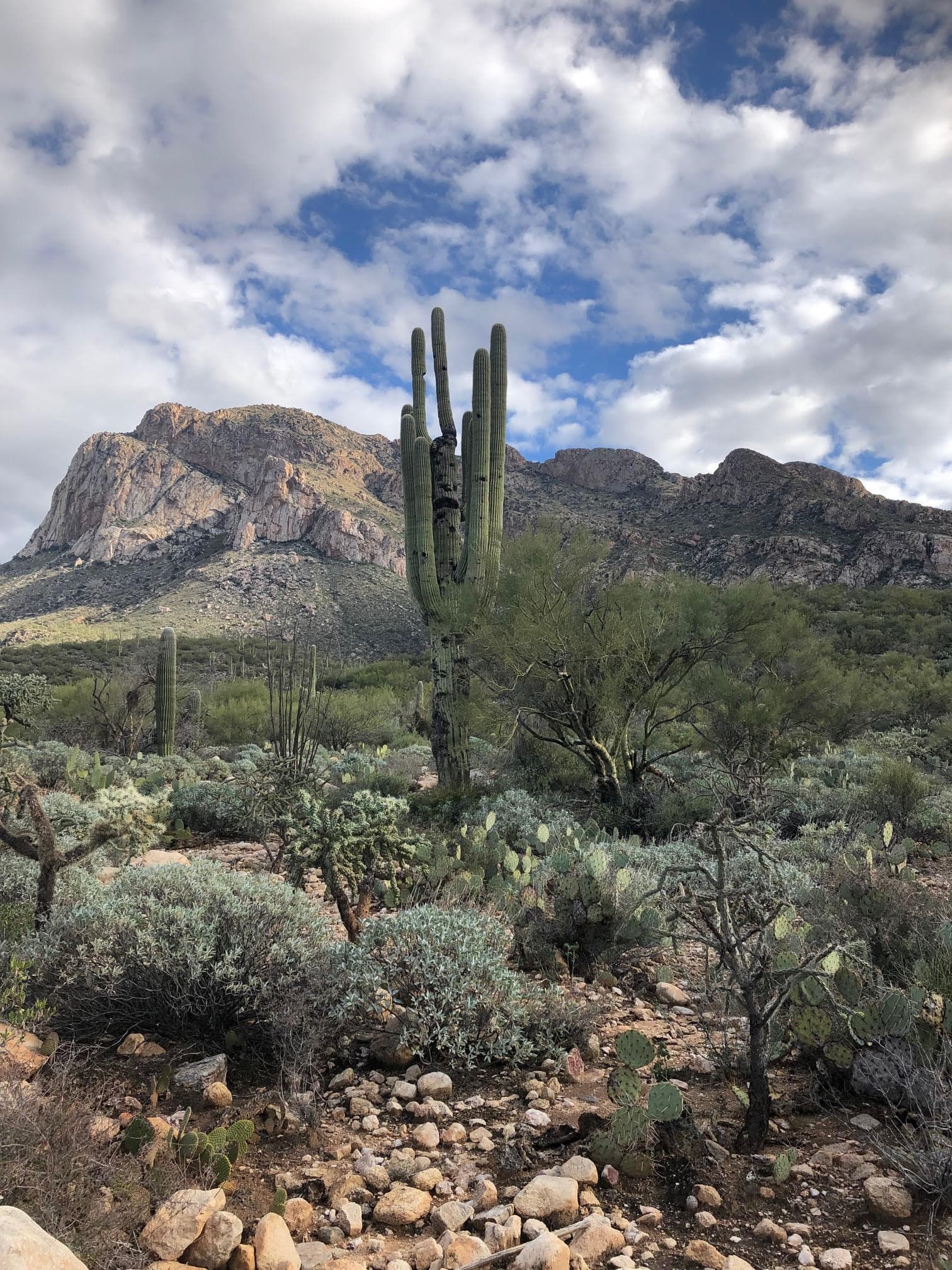 Ashley Aupperle | Fora Travel