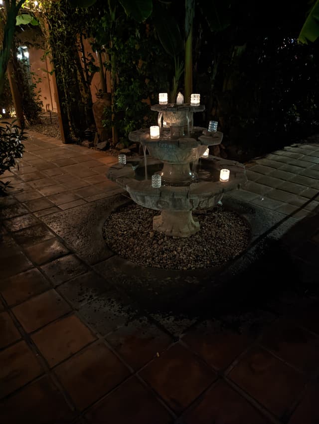 Michelle Adams-Walton | Fora Travel