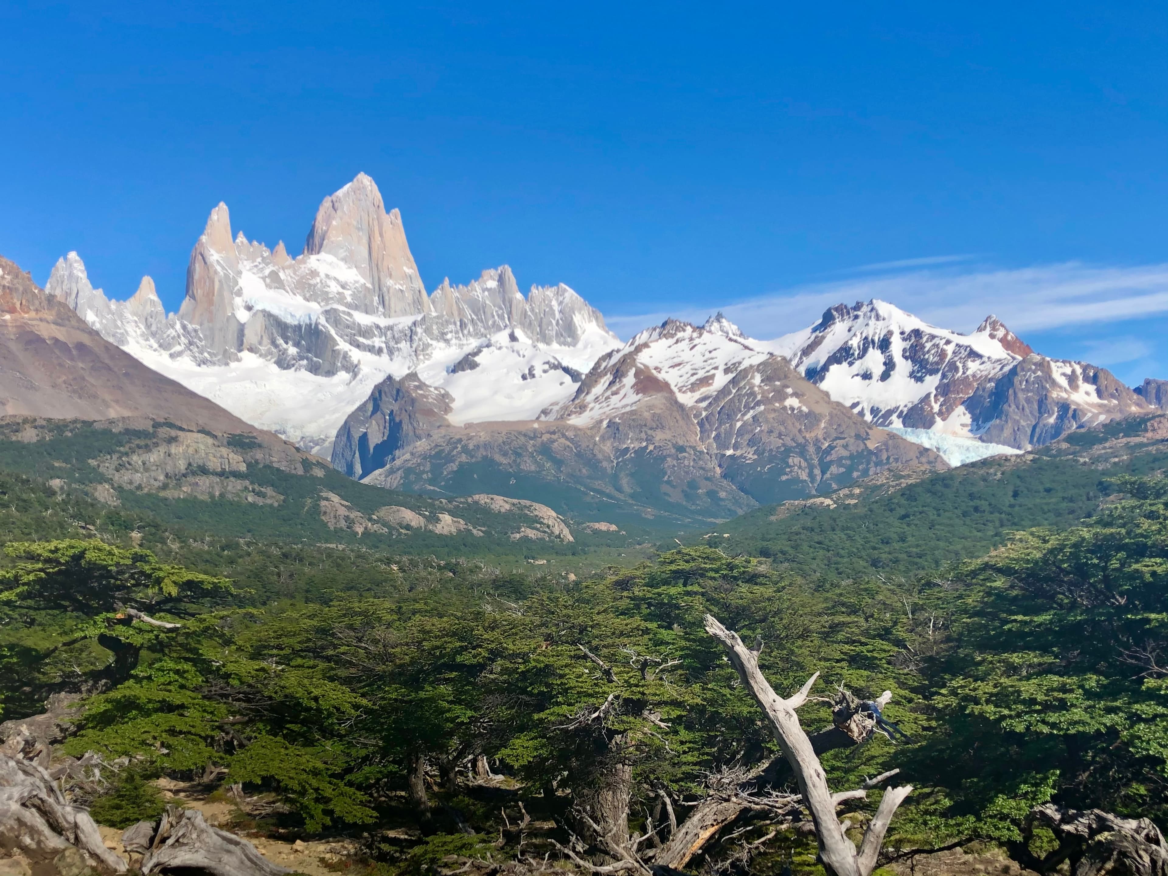 Christopher Lewis | Fora Travel