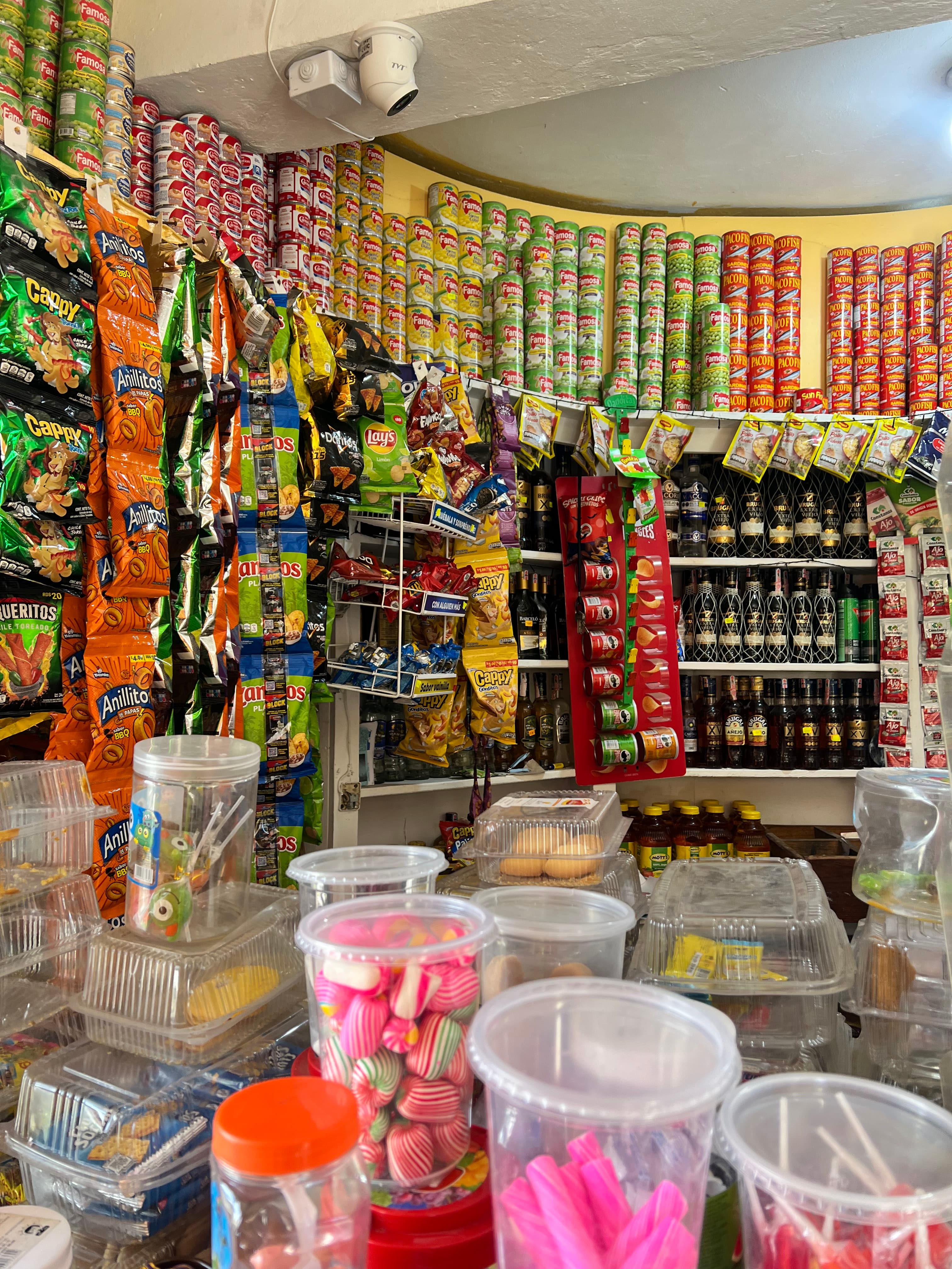 Ironelly Ozuna | Fora Travel