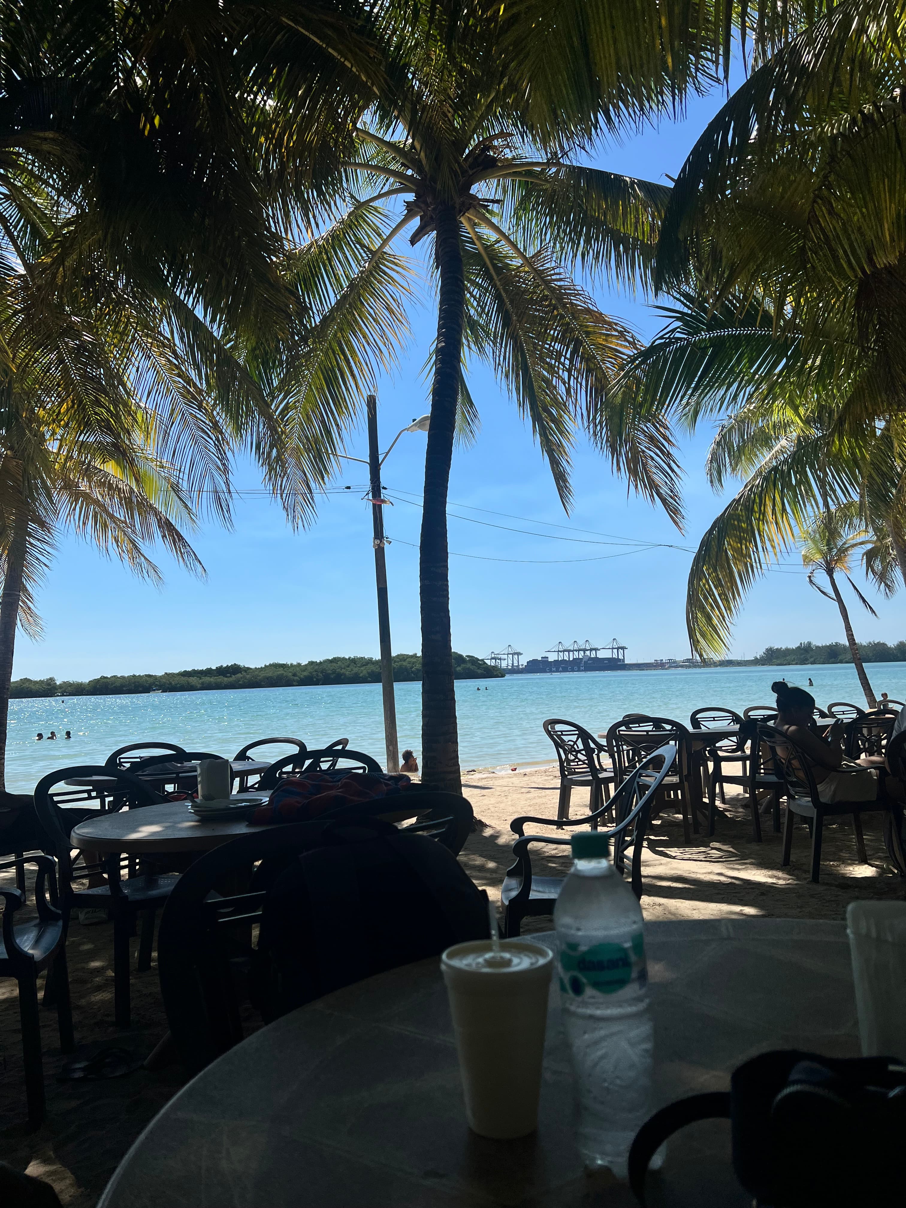 Ironelly Ozuna | Fora Travel