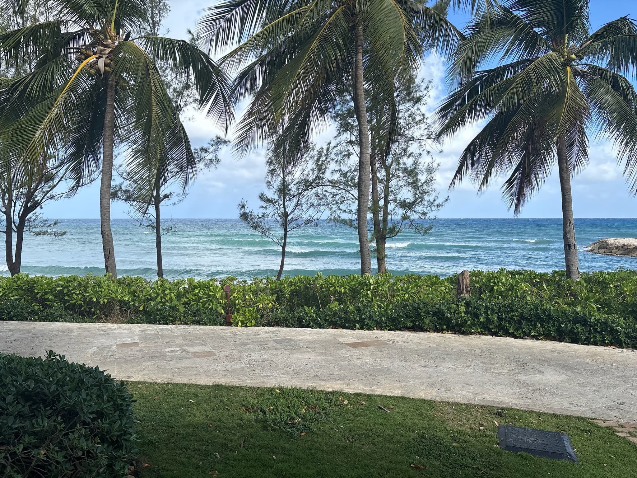 Rob Satchell | Fora Travel