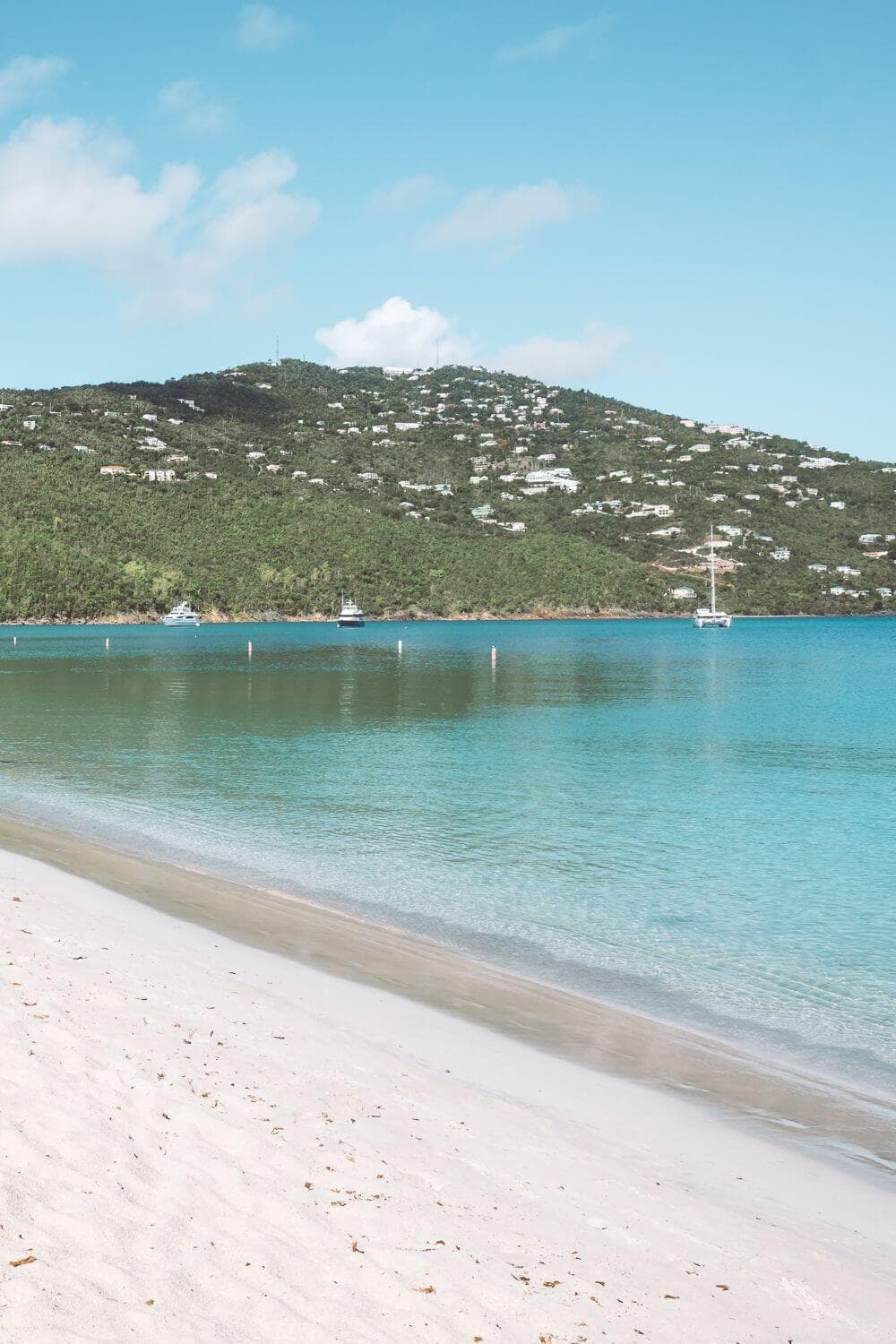 Ray Davis Jr. | Fora Travel