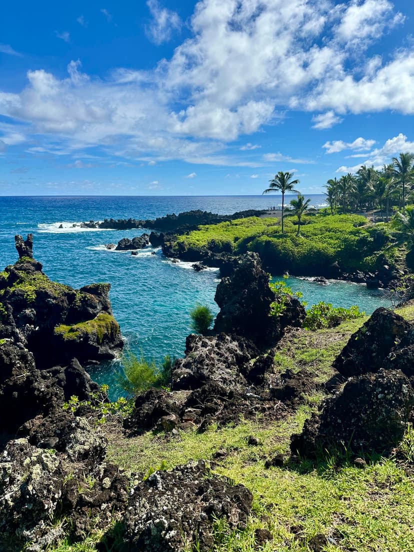 Kelly Michno | Fora Travel
