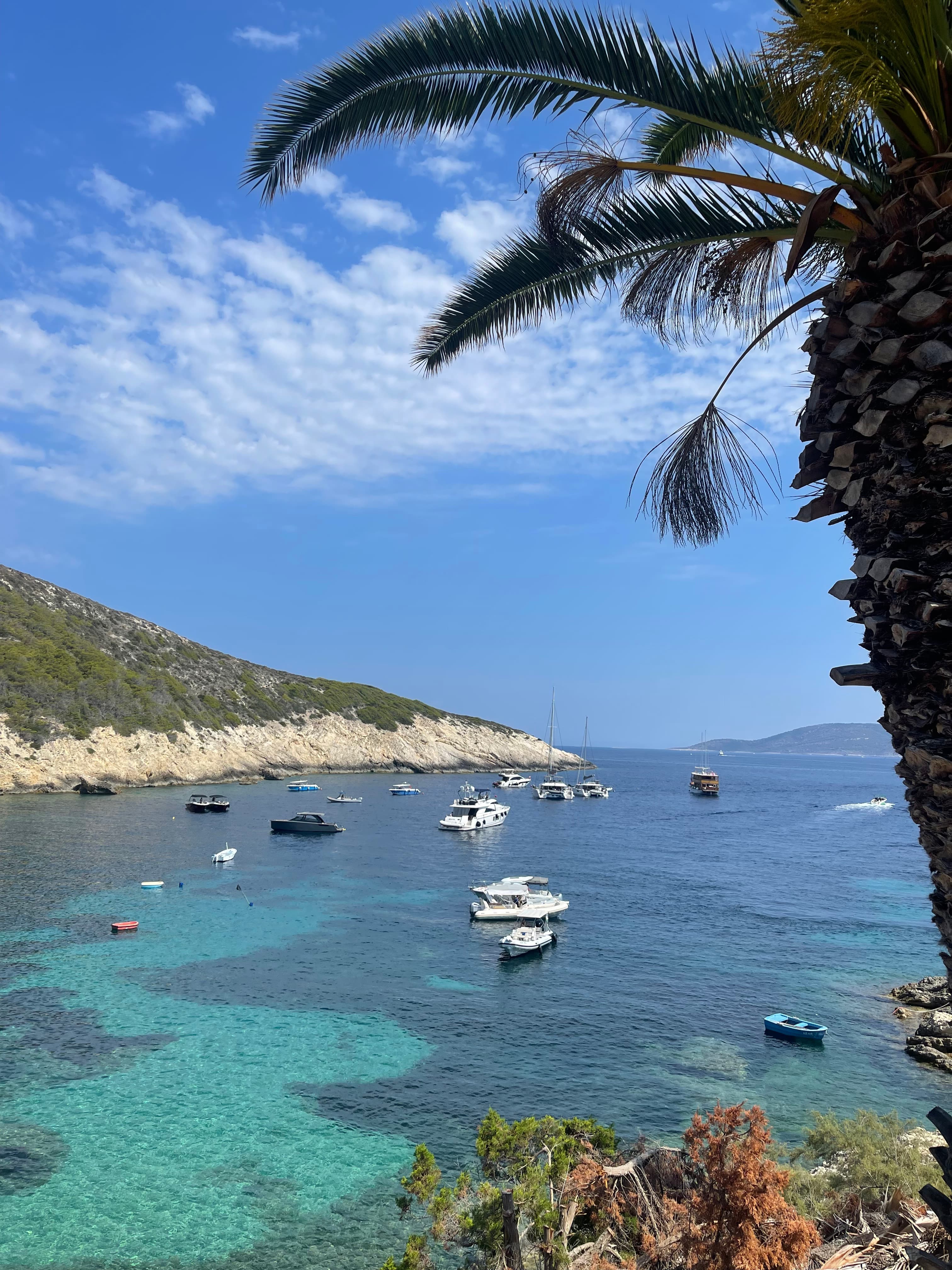 Rachel Scott | Fora Travel