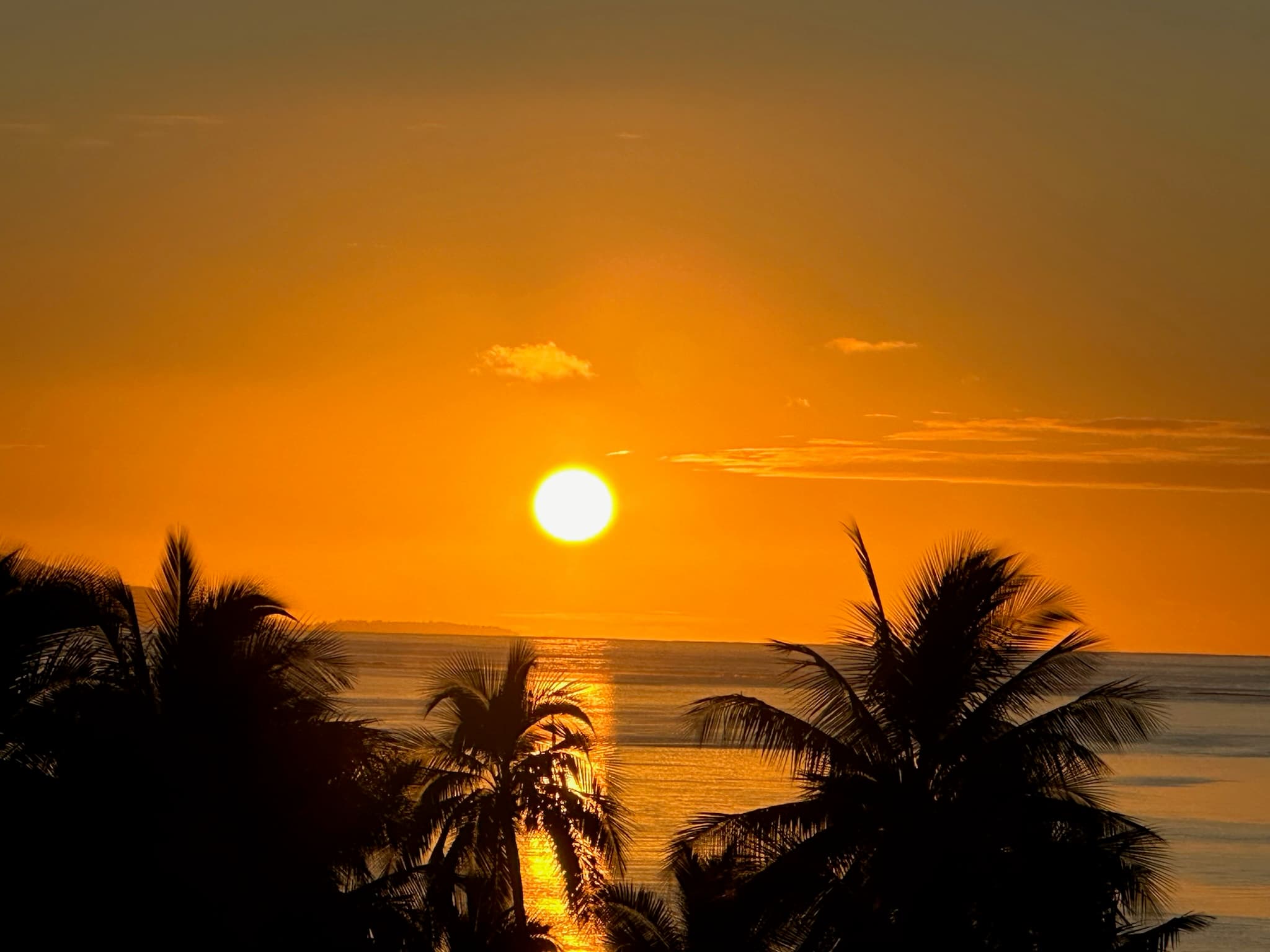 Jennifer Denali | Fora Travel