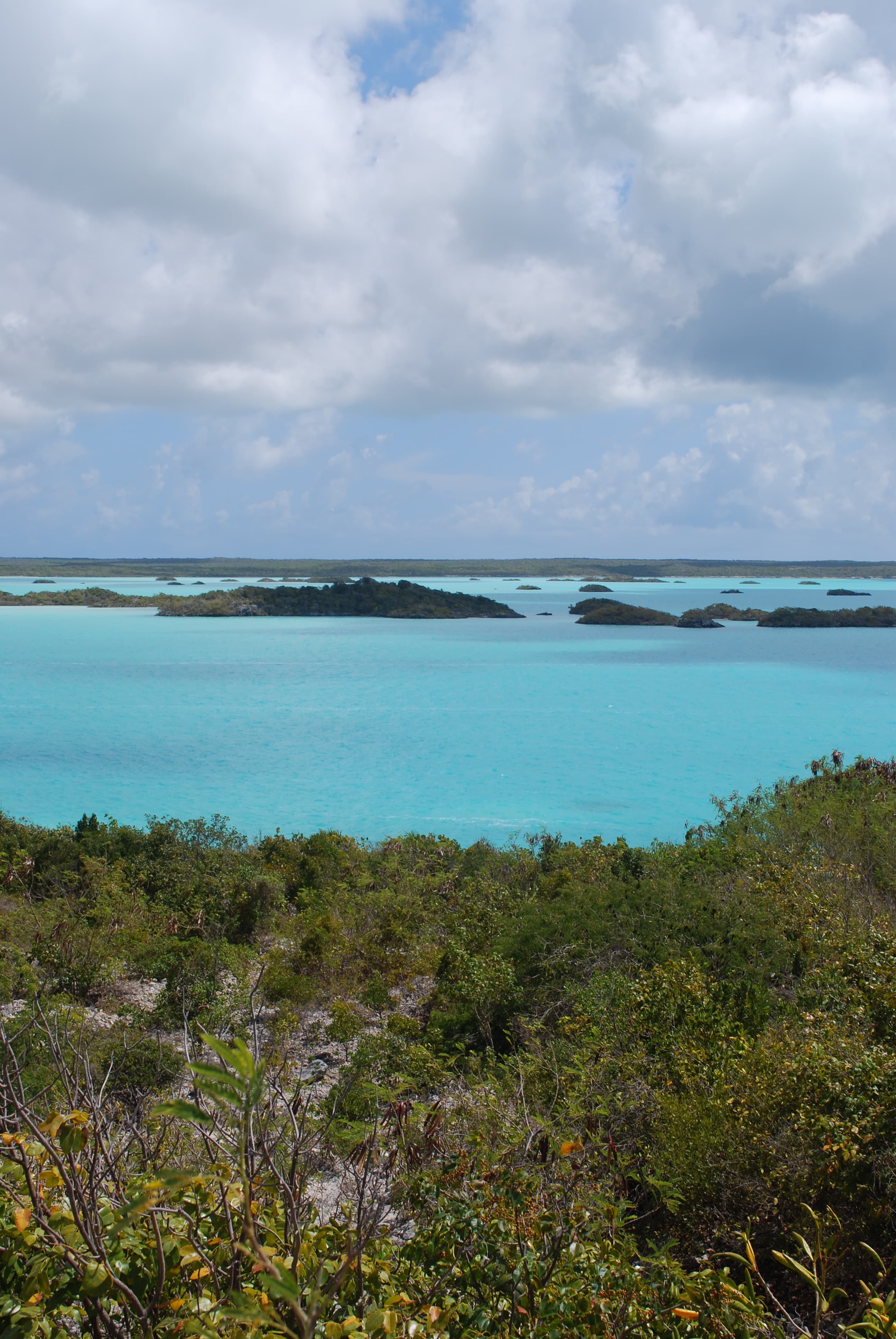 Kiesha Lucas | Fora Travel