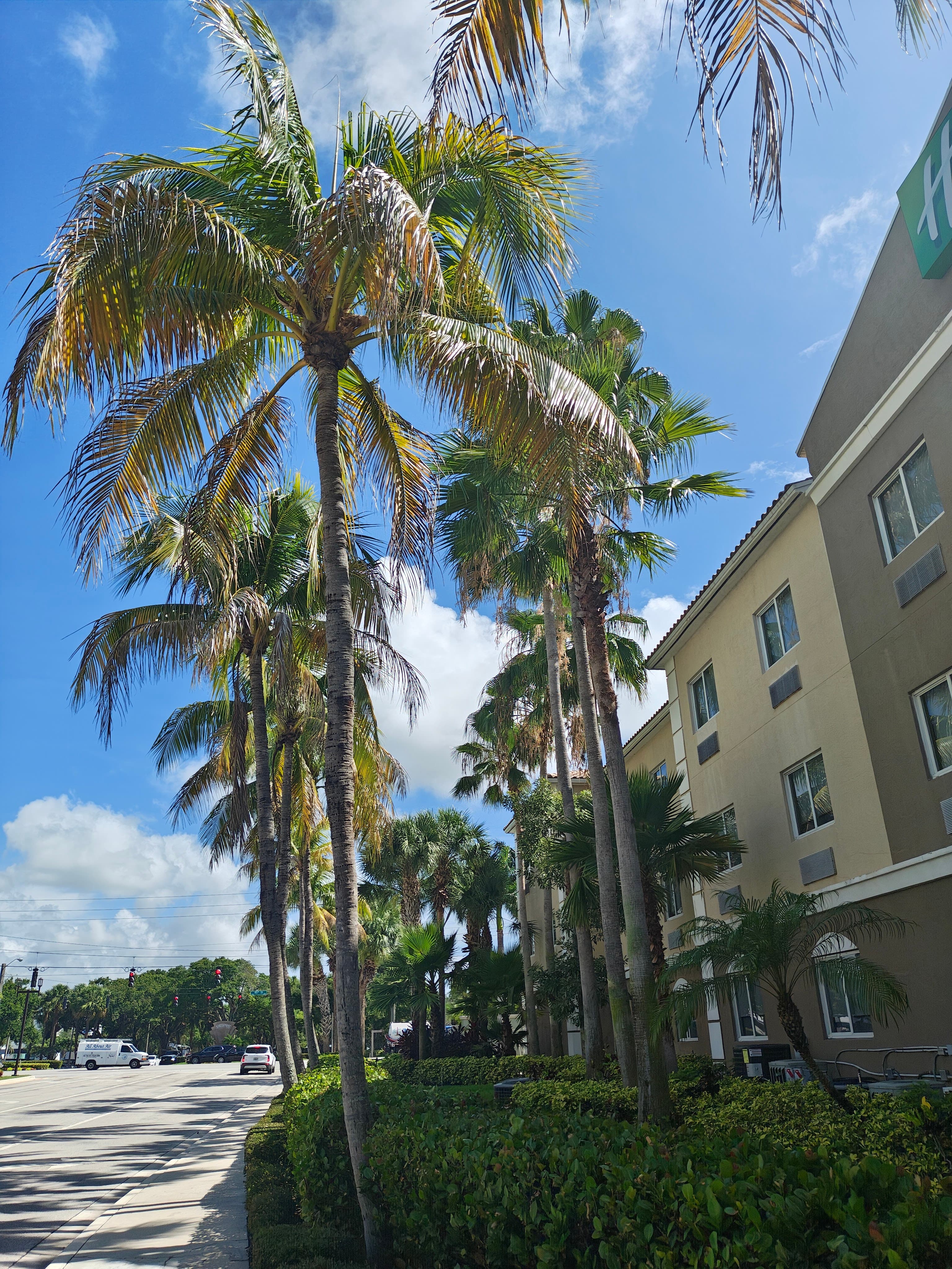 Queen Nzinga Smith | Fora Travel