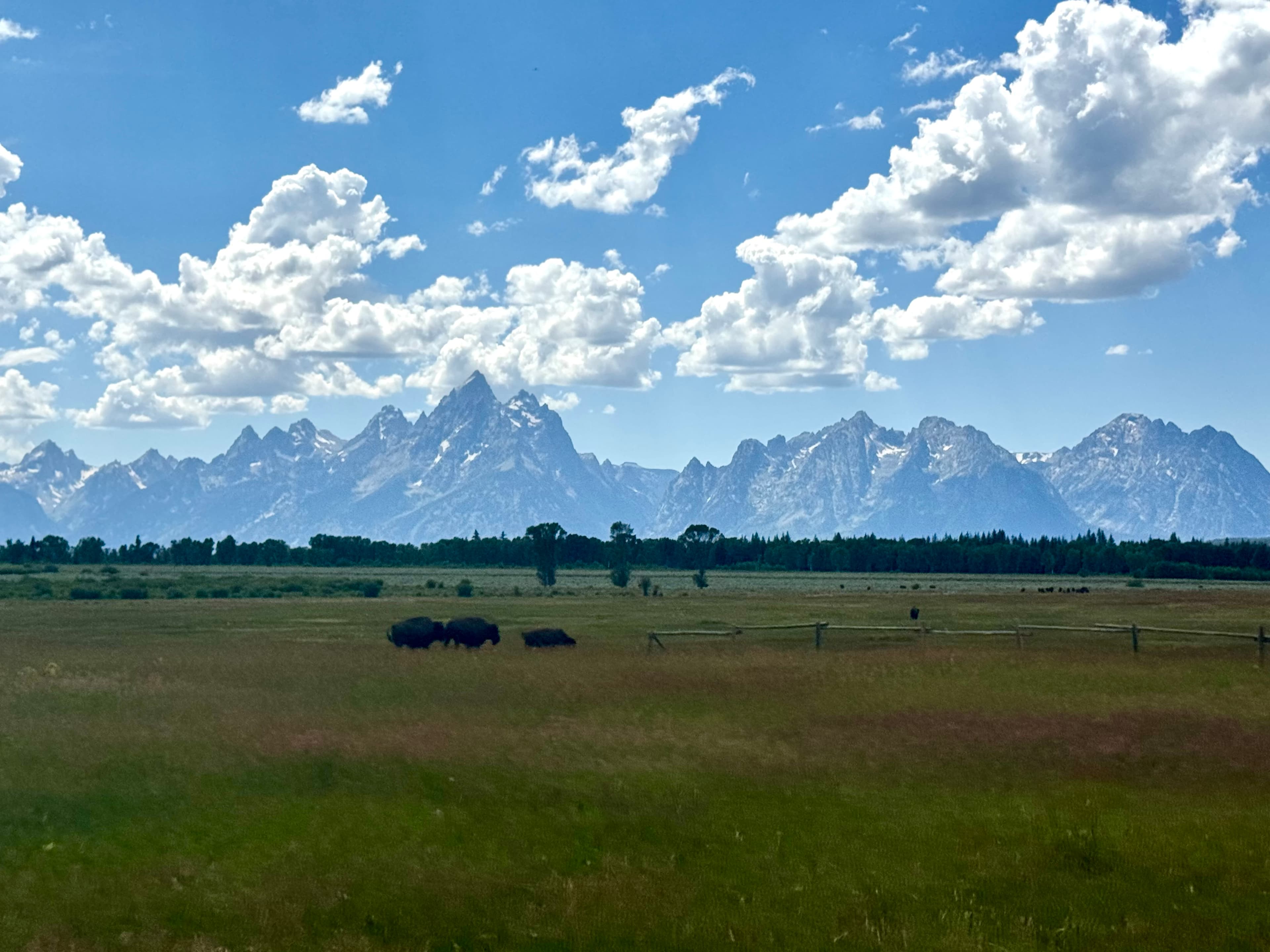 Amanda Trout | Fora Travel