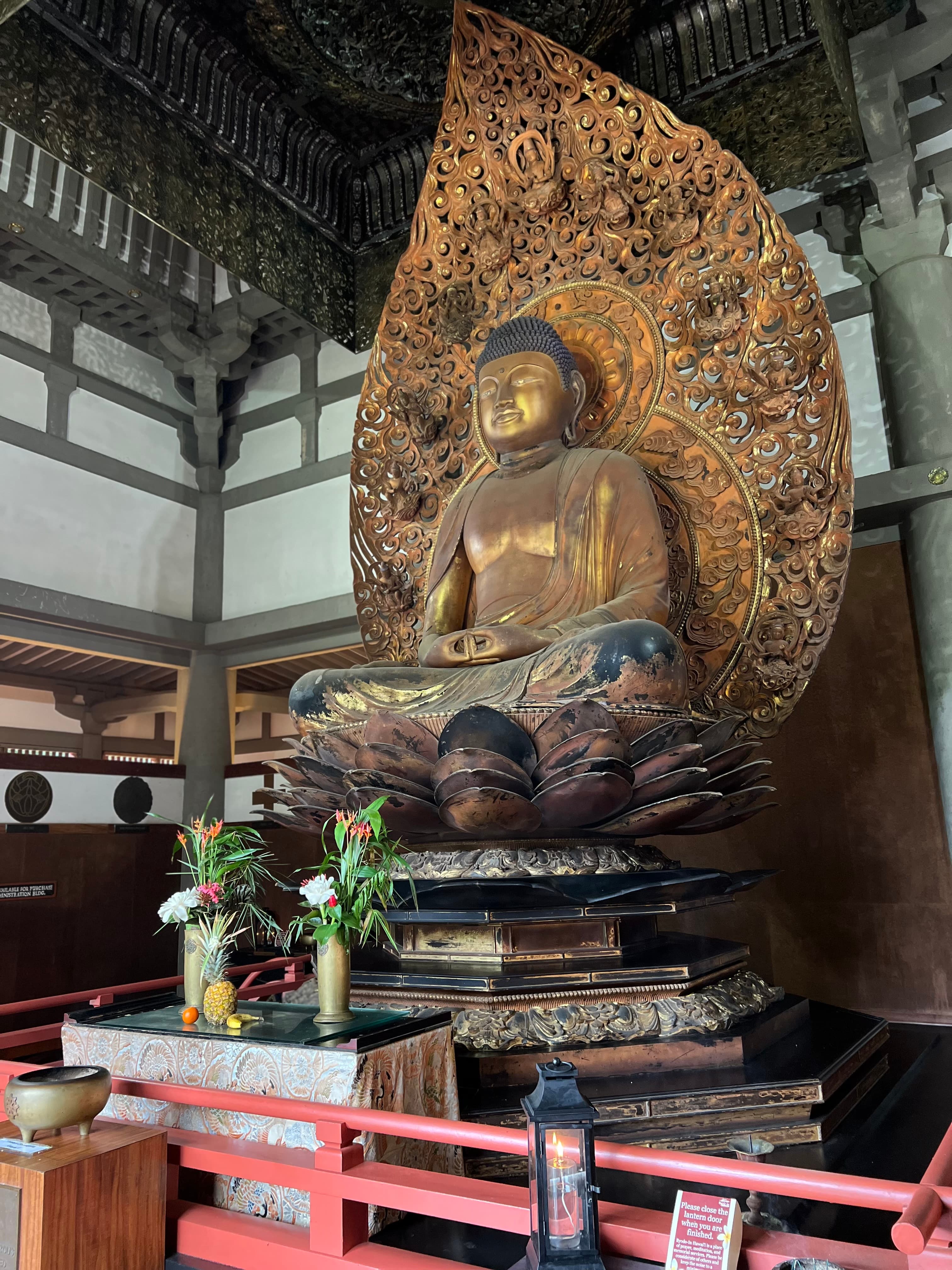 Shanna Jennings | Fora Travel