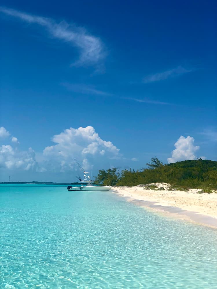 Kelly Michno | Fora Travel