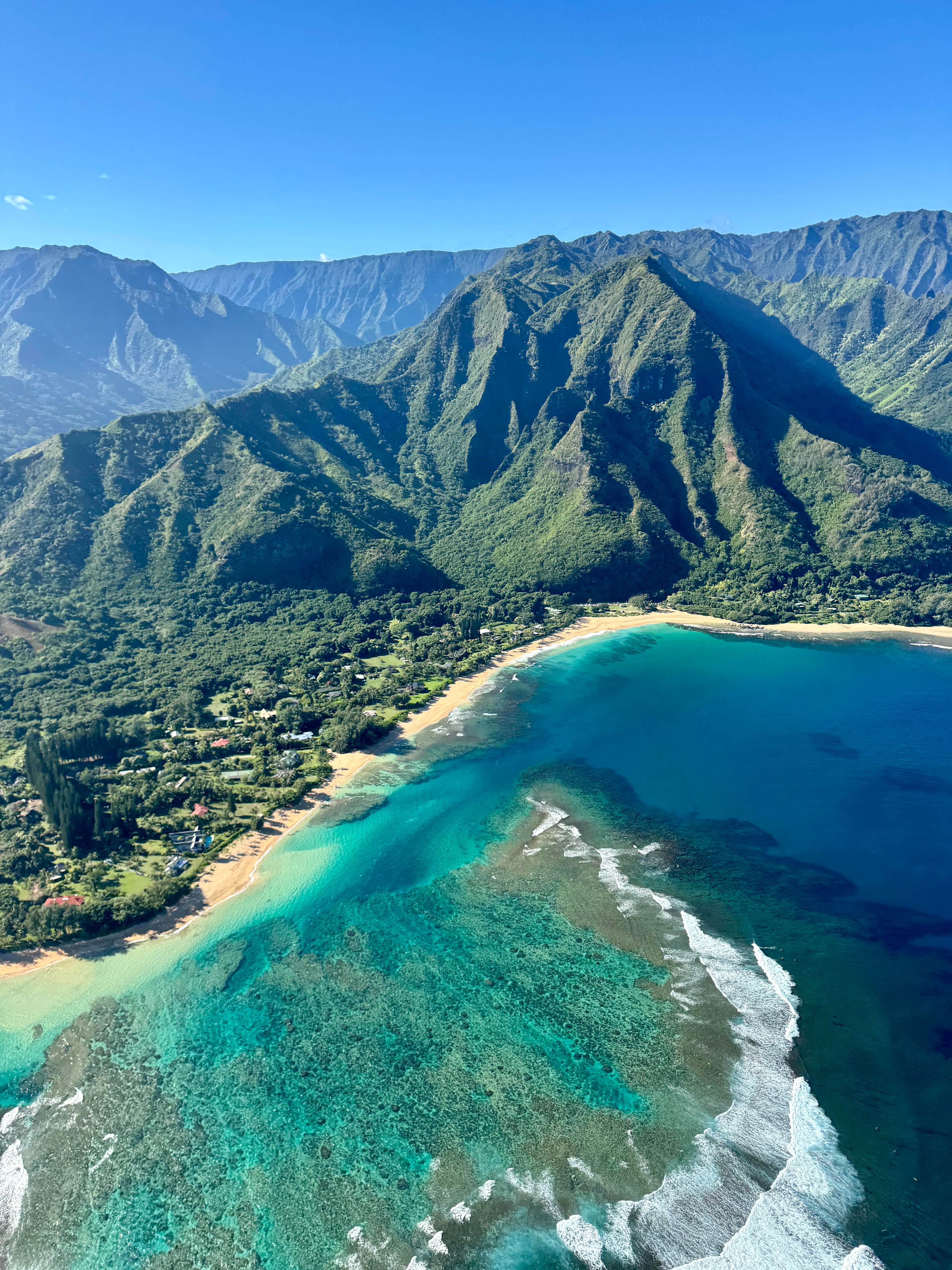 Kelly Michno | Fora Travel