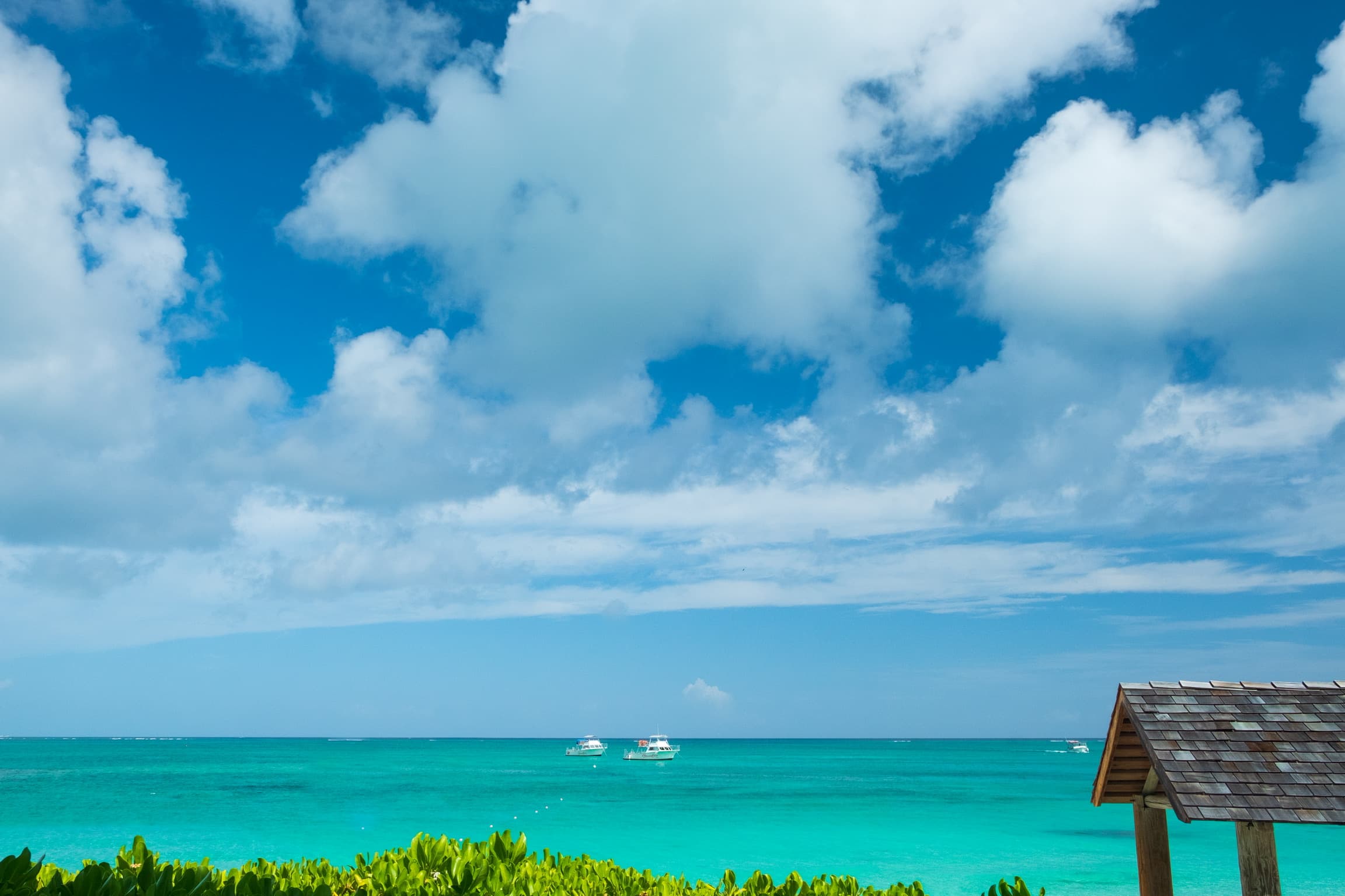 Jennifer Dillon | Fora Travel