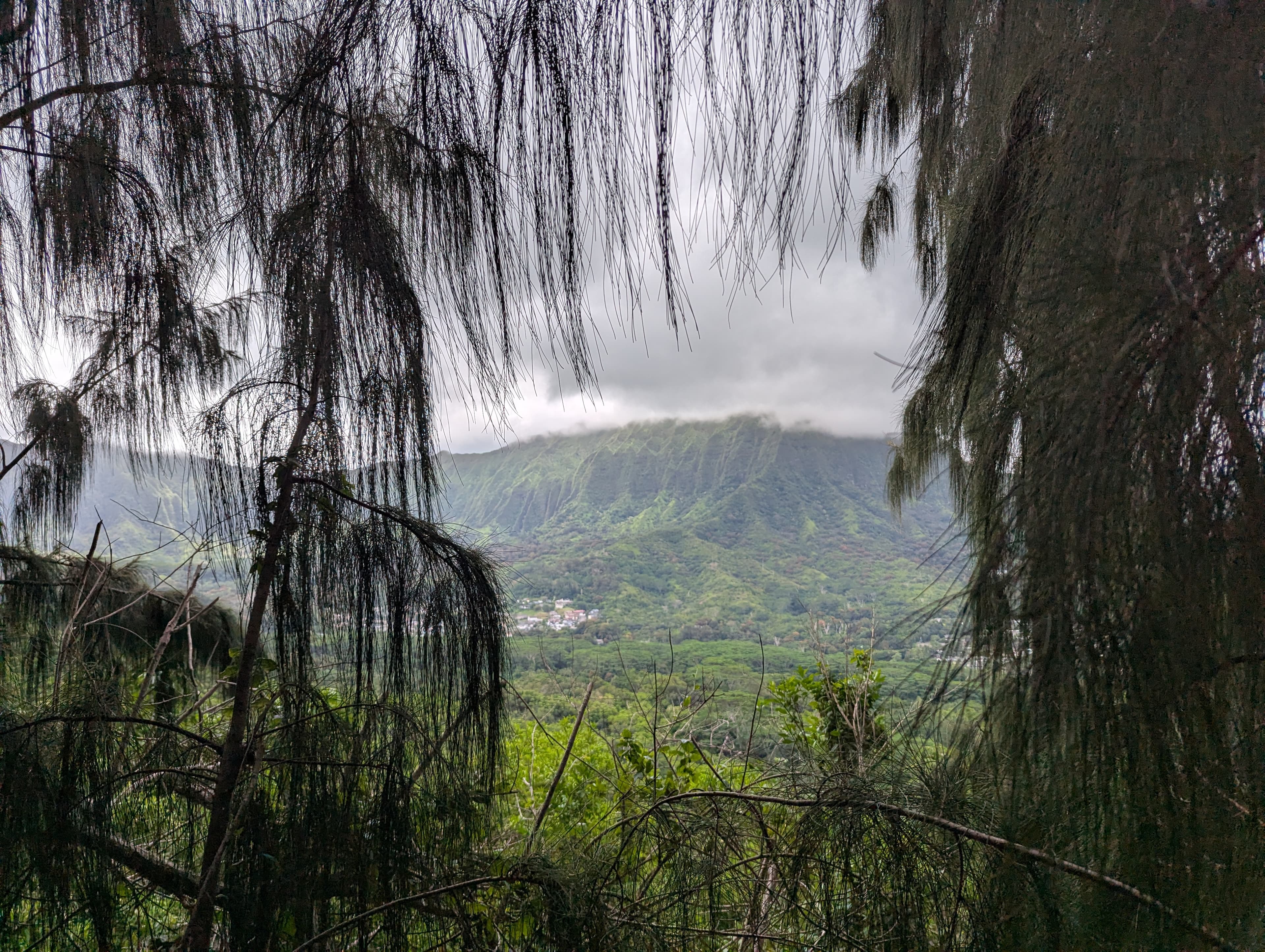 Shannon Toalson | Fora Travel
