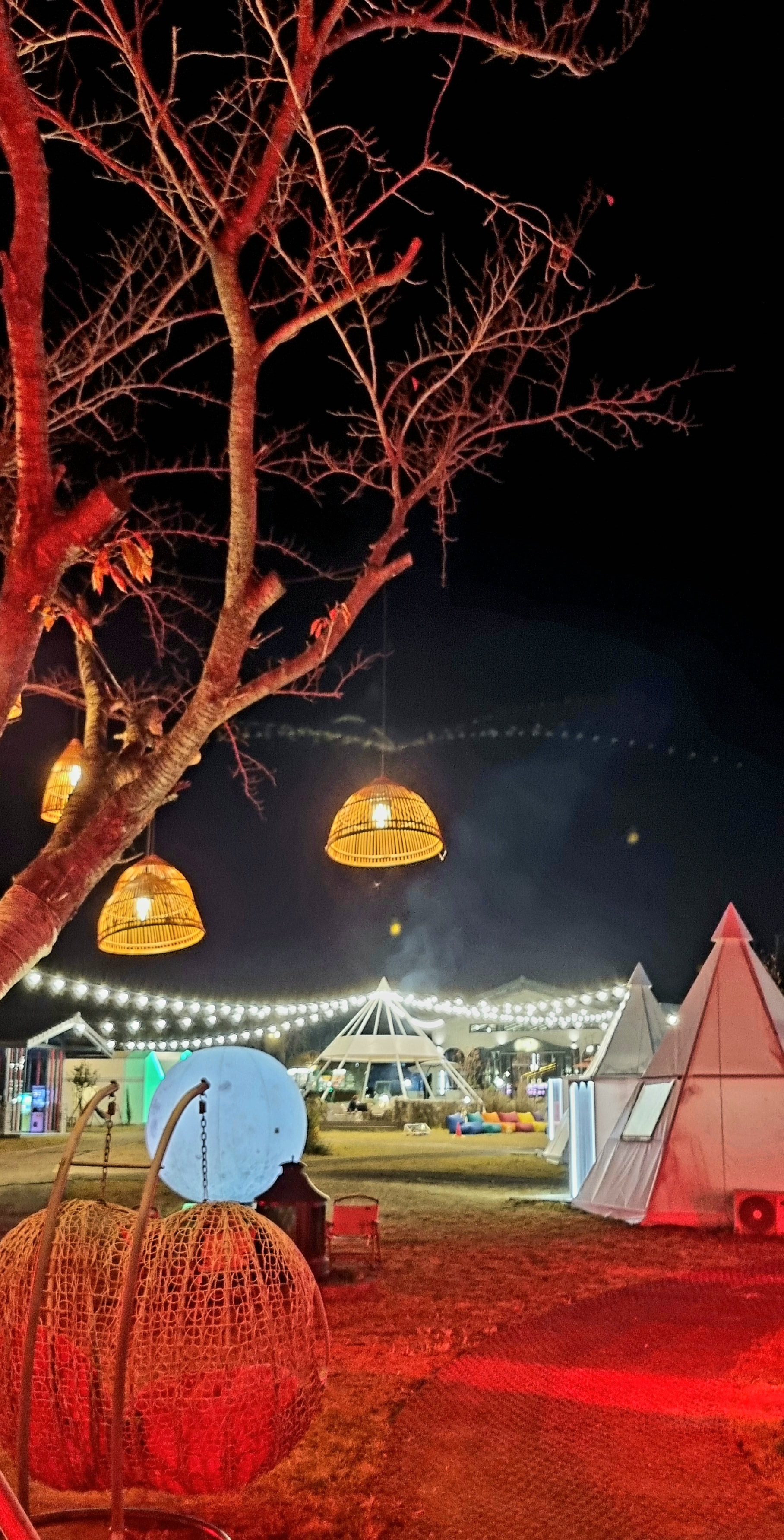 Aaron Ackerman | Fora Travel